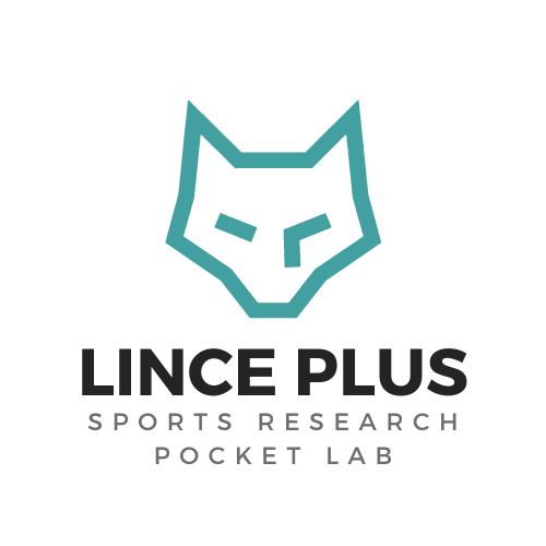 LINCE PLUS docs | LINCE PLUS docs